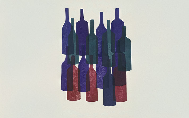 Guía para principiantes: cómo empezar a disfrutar del vino – Vila Vins