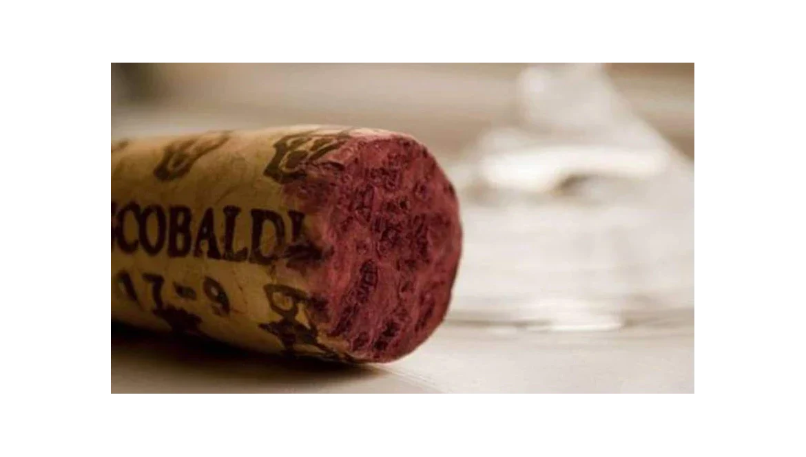 Possible wine defects – Vila Vins